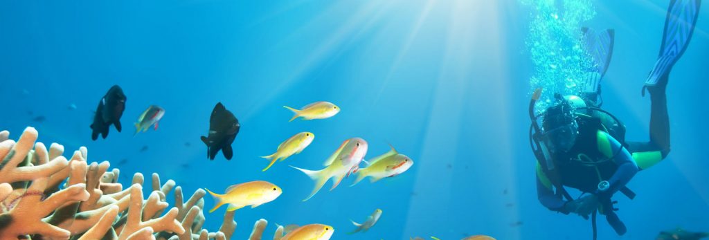 scuba-diving-banner – Captain Morgan's Retreat